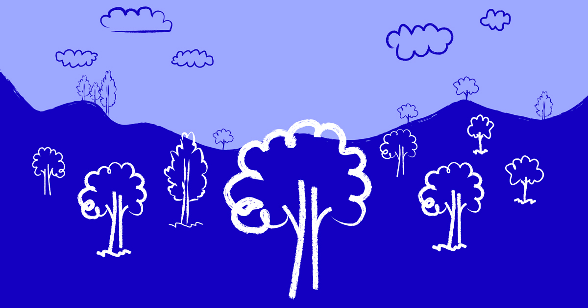 Mind Everlasting Forest